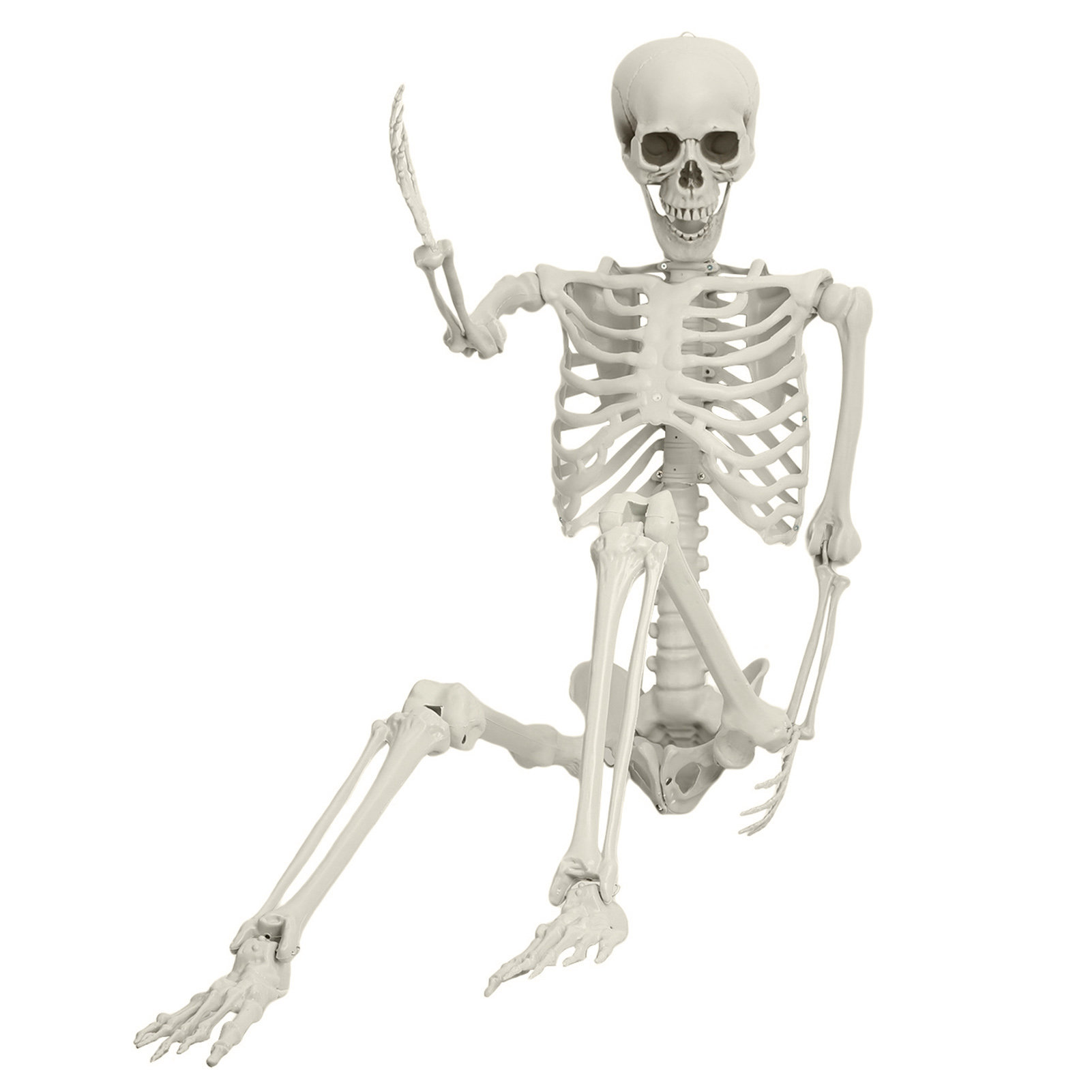 Trinx 5.4FT Poseable Skeleton Prop Life Size Plastic Halloween Human Bones Skeleton Party Supplies Wayfair